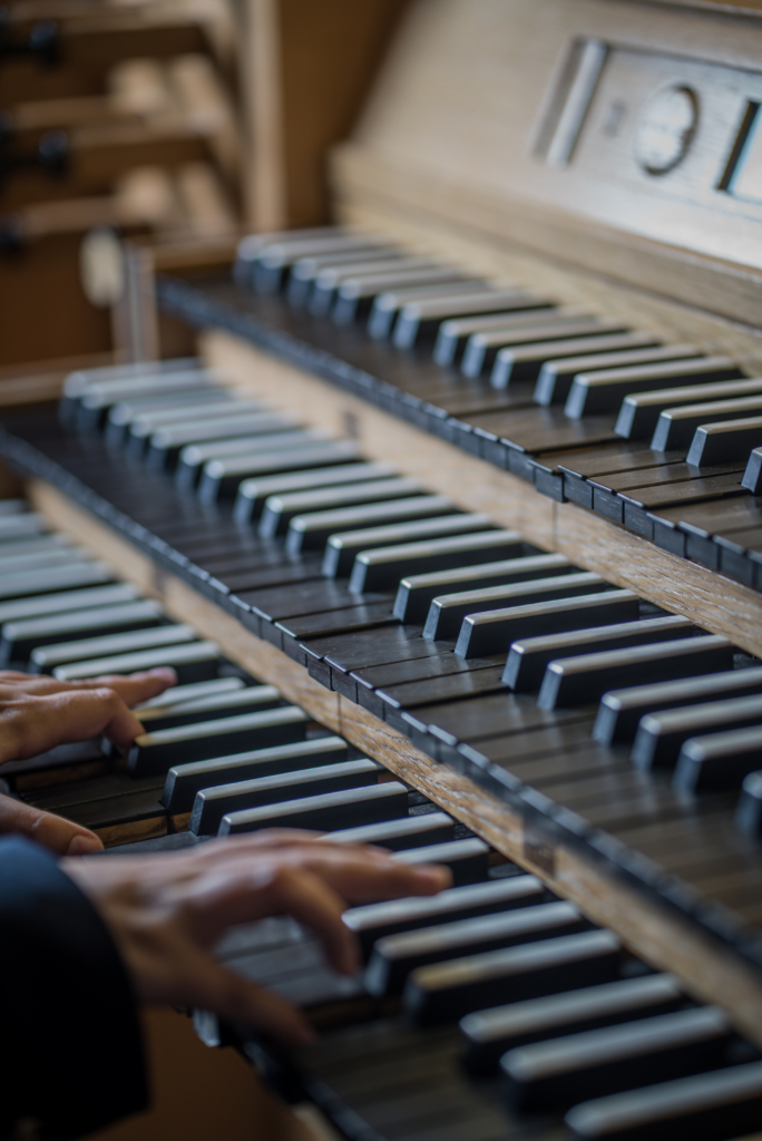 Alice Rocha - Haute école des arts du Rhin