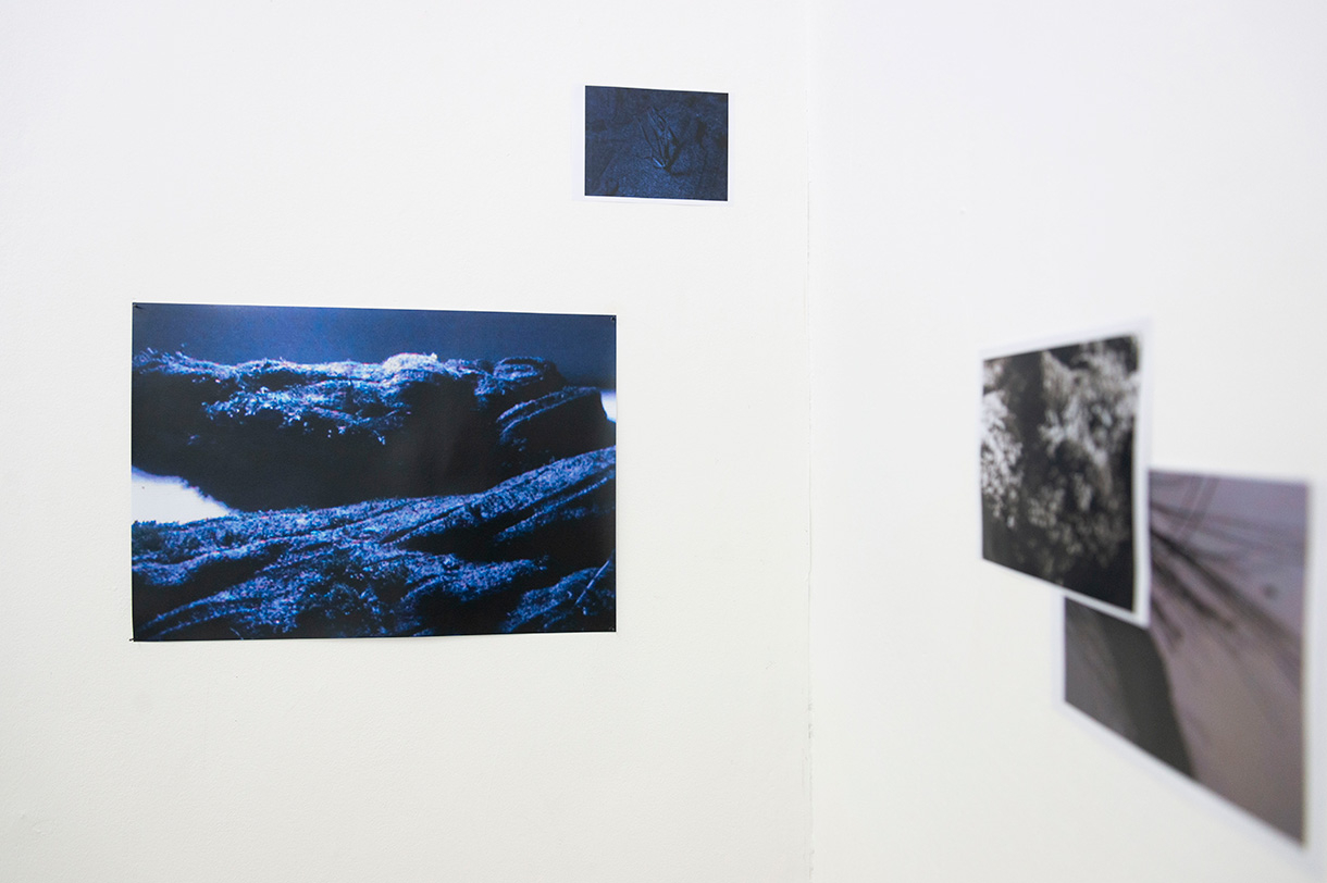 Desert Samples - Haute école des arts du Rhin