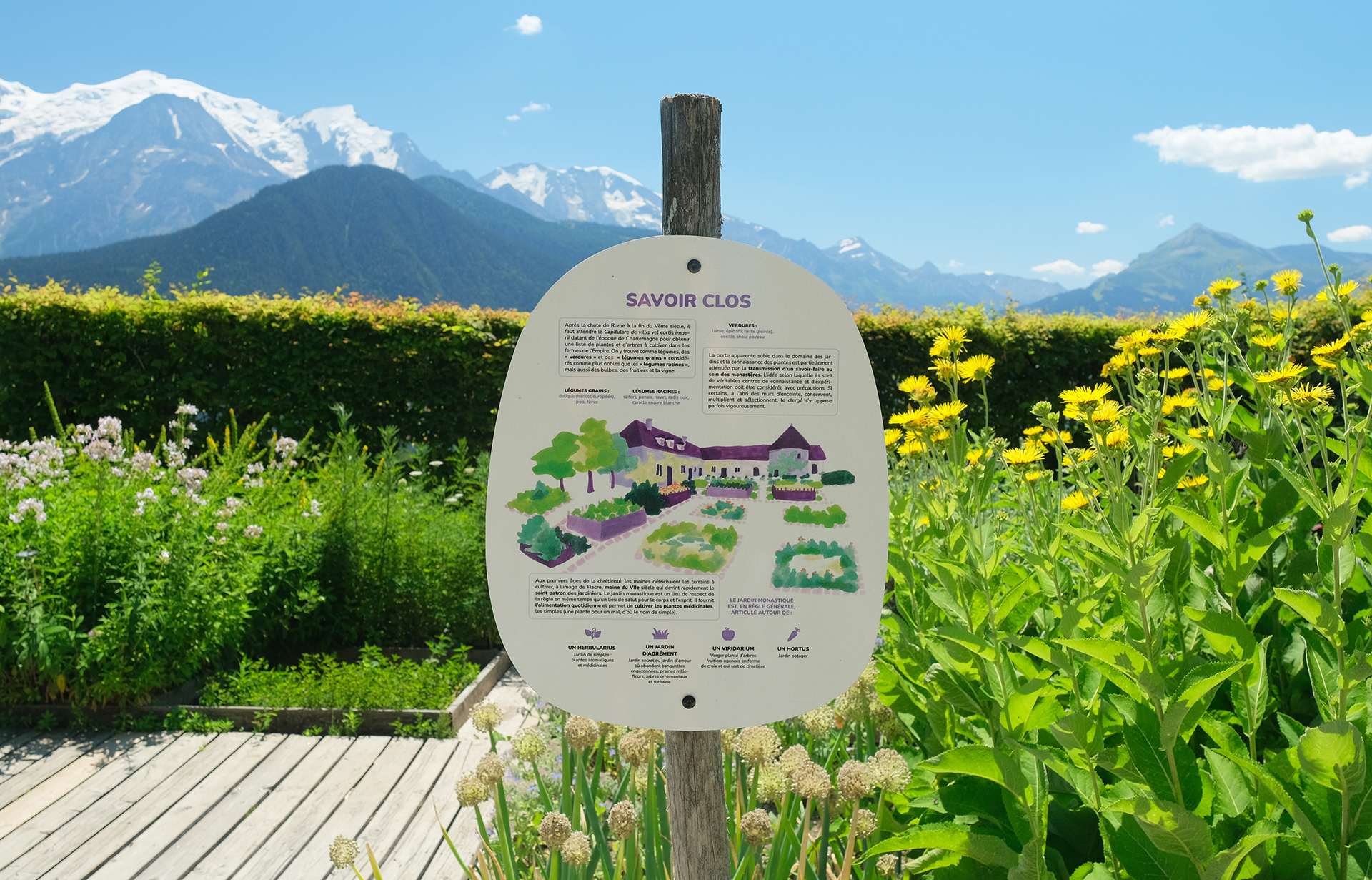 Agathe Meunier - Haute école des arts du Rhin